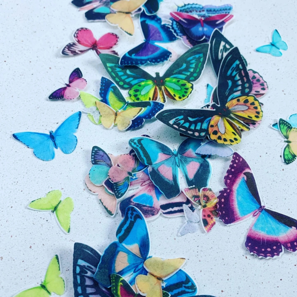 Multi coloured large and small Wafer paper die cut butterflies – set of ...